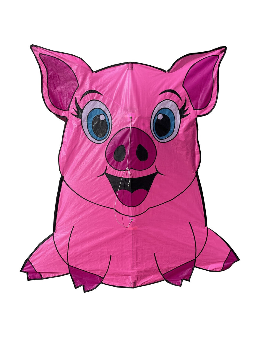 Pig Kite| Hobby Recreation Products